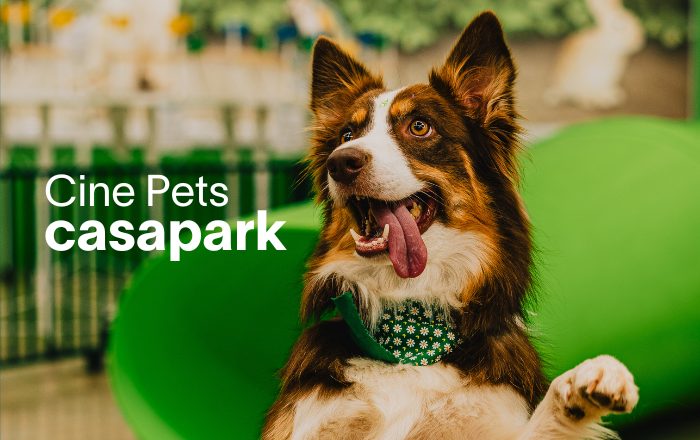 Brasília tem primeira sessão de cinema petfriendly - Casapark